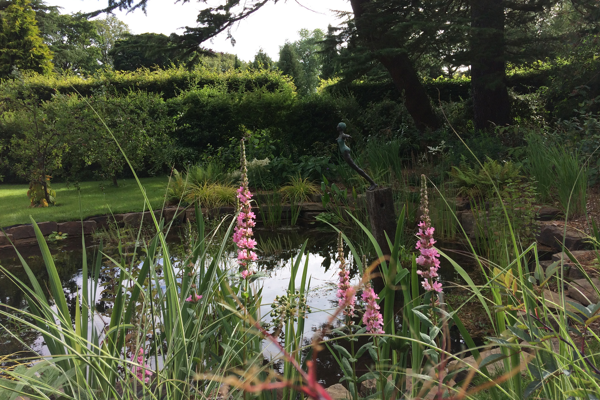 Wildlife Pond - Rachel Forbes Landscape and Garden Design